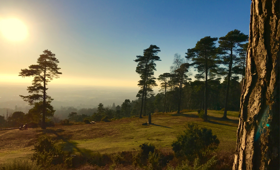 10 of the Best Surrey Hills Walks to Explore | Day Out in England