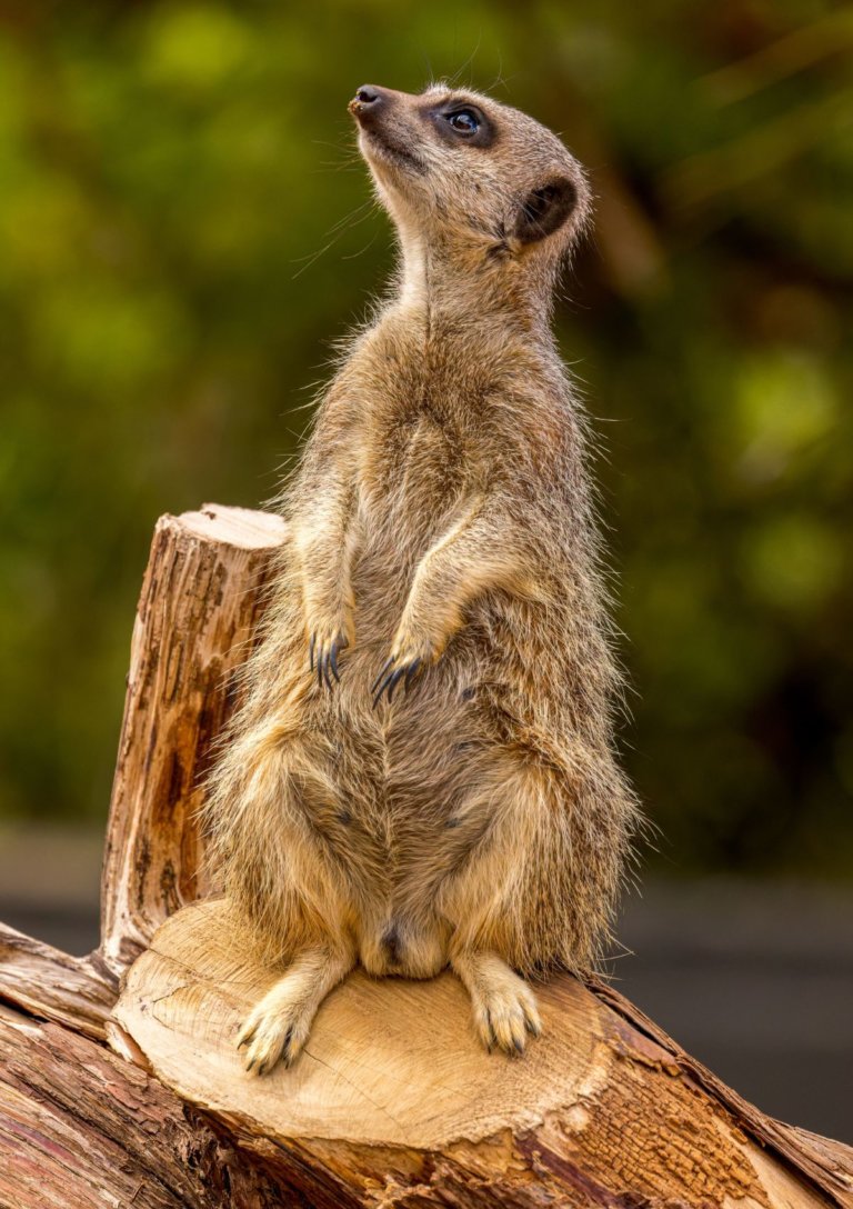 How to Use Tesco Points for Days Out: An Easy Guide | Day Out in England